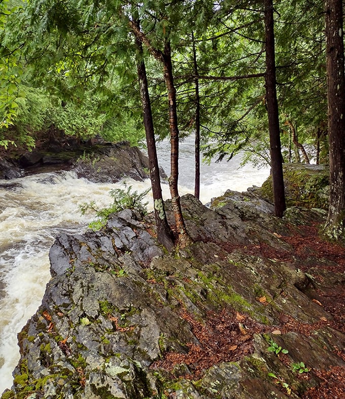 Pine trees frame the rushing waters of LaSalle Falls as it cuts through ancient rock formations, creating a peaceful wilderness retreat.