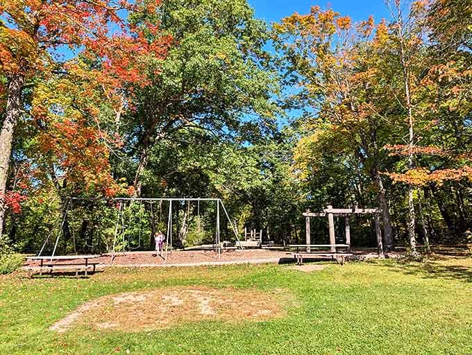 Fall transforms Nerstrand-Big Woods into a kaleidoscope of colors, with maple and oak trees showing their autumn finery.