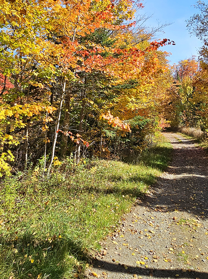 Fall foliage creates a fiery backdrop along Rangeley's paths, where every turn reveals another postcard-worthy view to capture.