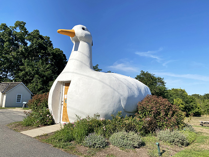 This duck-shaped building proves that architecture can have a sense of humor. The Big Duck has been turning heads and delighting visitors since 1931.