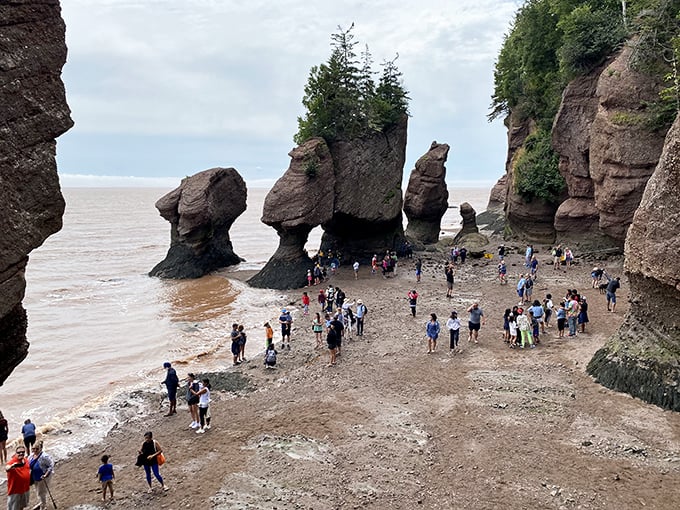 "Those folks are definitely flatlandahs!" They're mesmerized by these massive, unique formations on the coast. Welcome to the Maritimes!