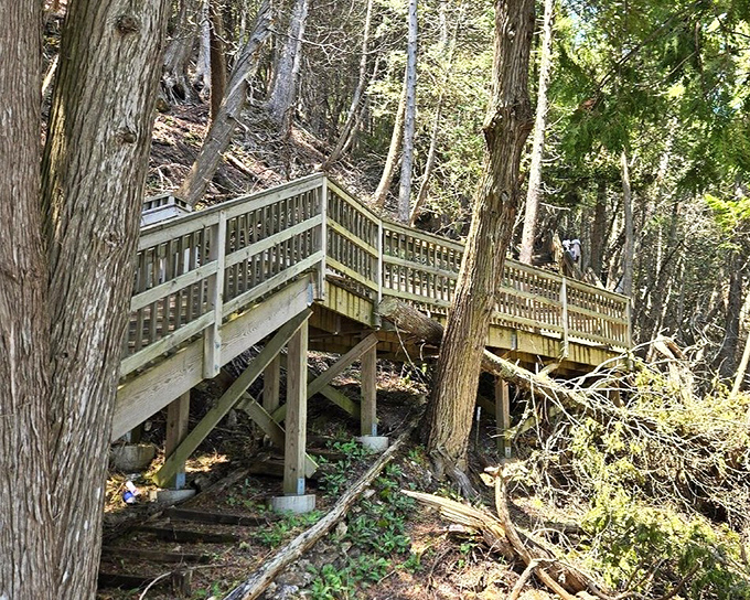 Nature and engineering in perfect harmony, as wooden stairs wind through ancient forest toward a limestone masterpiece millions of years in the making.