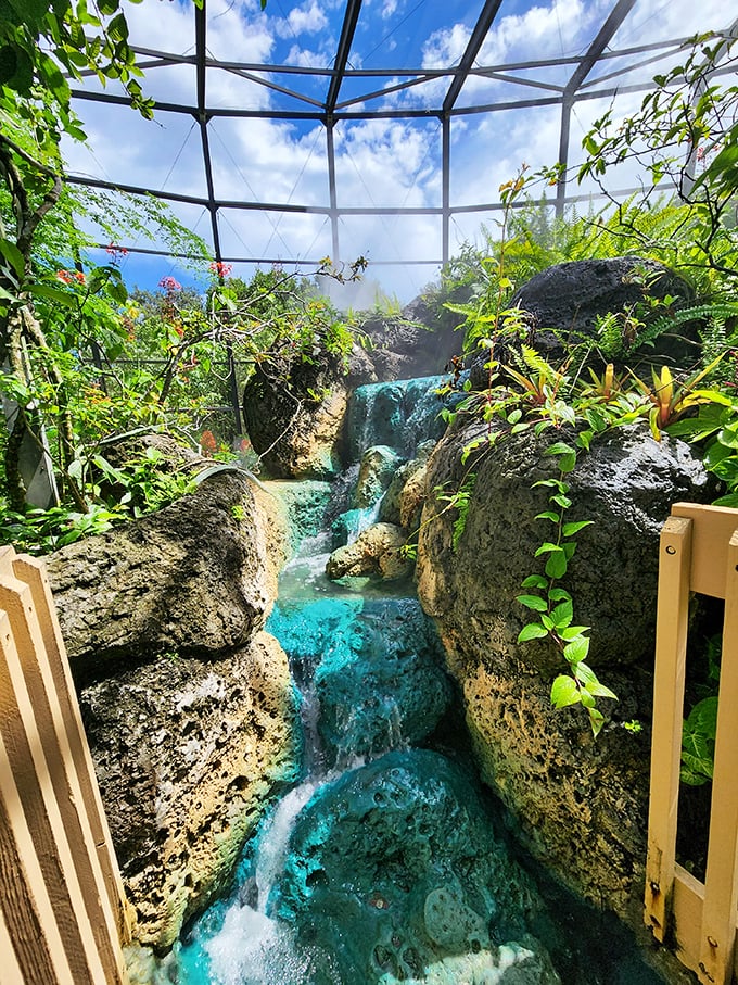 This isn't just any waterfall &ndash; it's a carefully engineered microclimate creator that keeps butterfly residents in tropical luxury.