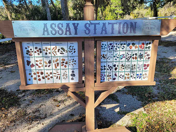 The Assay Station displays a fascinating collection of gemstones, inviting visitors to try their luck at mining their own treasures.