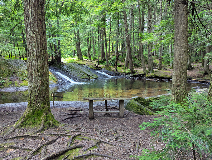 Nature's waiting room &ndash; this simple bench offers front-row seats to Vermont's symphony of rustling leaves and babbling brooks.