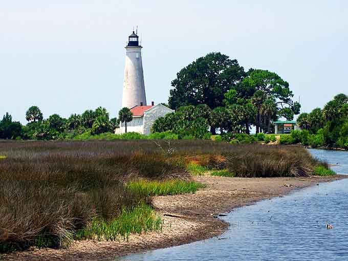 The historic lighthouse stands sentinel over marshlands that have looked essentially the same for centuries, minus the Instagram photographers.