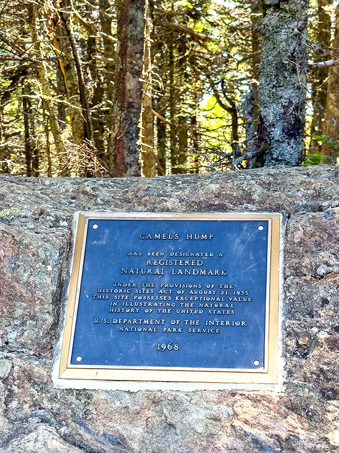 Officially recognized awesomeness since 1968 &ndash; Camel's Hump didn't need a plaque to be spectacular, but got one anyway.