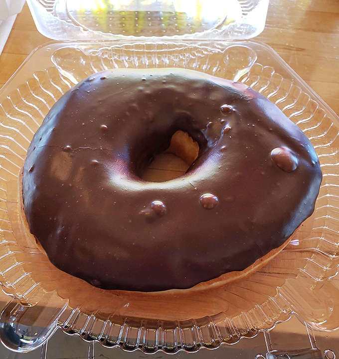 Pure chocolate coverage transforms this oversized circle into the kind of breakfast that requires commitment, courage, and complete disregard for calorie counting.