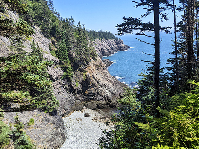 Secret beach access: This hidden gravel cove between towering cliffs feels like nature's private VIP area, accessible only to those who earn it.