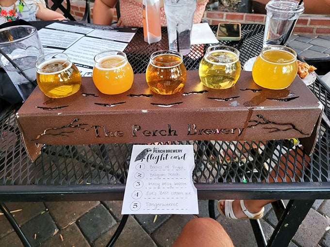 A flight of liquid sunshine awaits sampling at The Perch Brewery, with five distinct brews ranging from pale gold to rich amber.