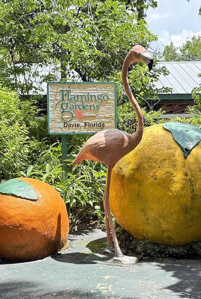 That cheerful flamingo statue knows exactly what awaits inside: pure tropical magic in every direction you look.
