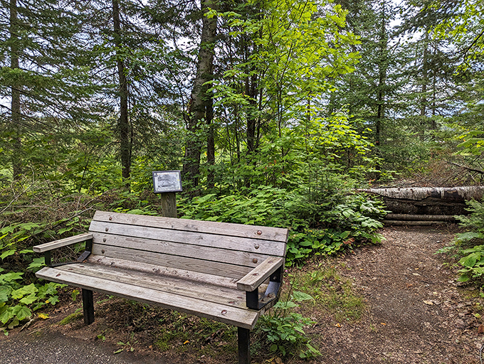 Take a moment to catch your breath on this rustic bench, where nature provides better entertainment than any smartphone.