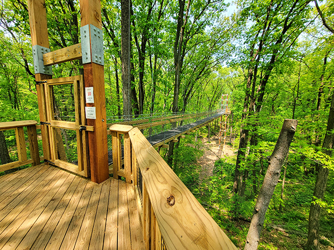 This elevated pathway lets visitors play Tarzan without the vine-swinging risks, offering eye-level views of Michigan's magnificent forest tapestry.