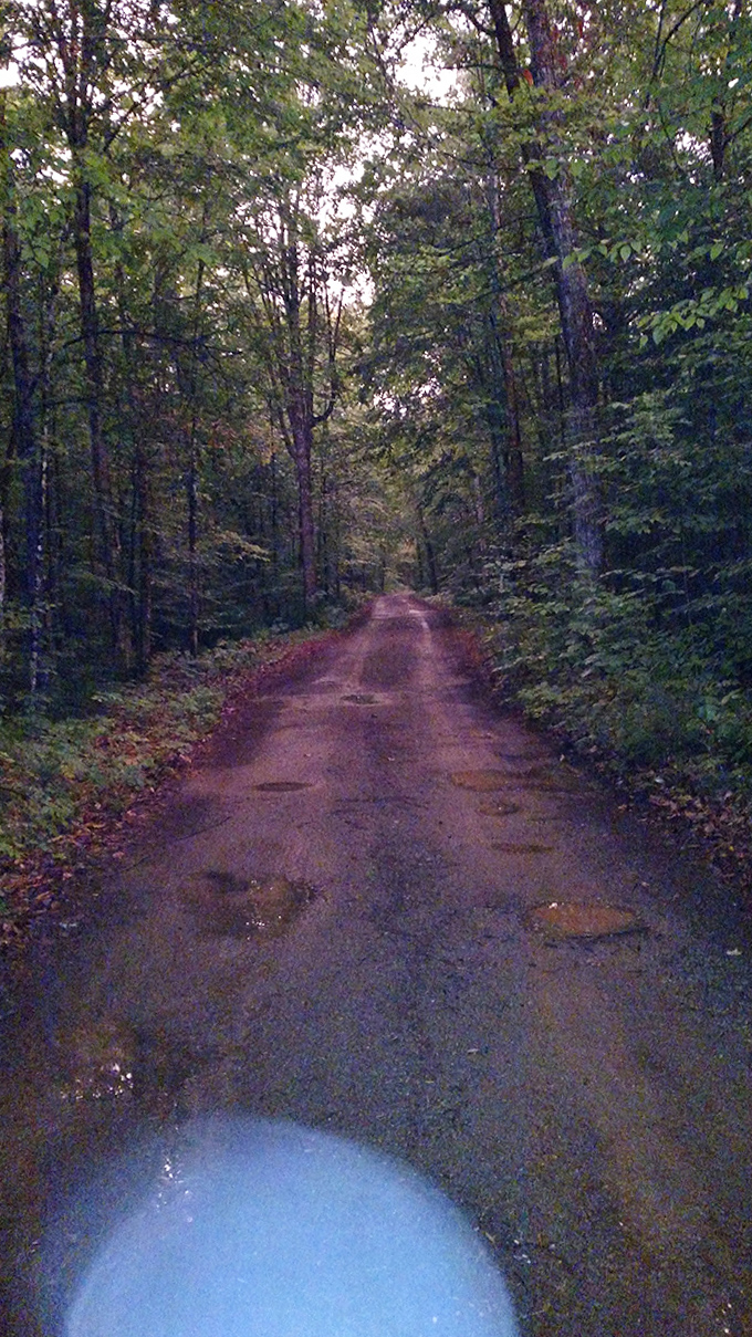 Nature's welcome mat: The road to wilderness adventures comes complete with puddles perfect for splashing.