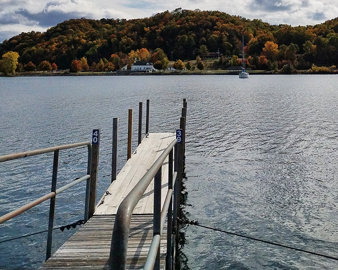 A wooden dock extends into calm waters with forested hills beyond, offering a moment of pure Michigan tranquility.