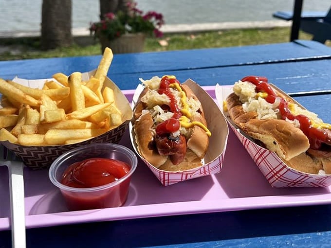 Two perfectly grilled dogs with a mountain of fries, because sometimes the classics need no improvement, just appreciation.