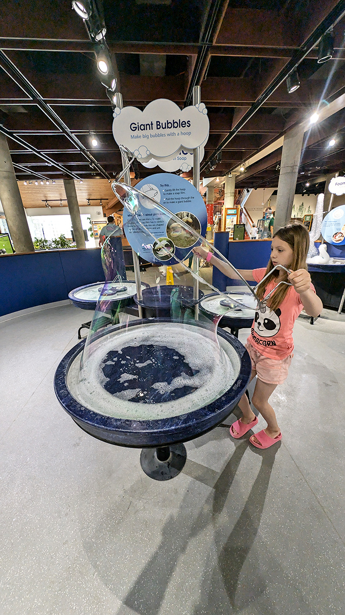 Creating bubbles bigger than your head isn't just permitted here &ndash; it's encouraged! Science and magic blend in shimmering spheres.