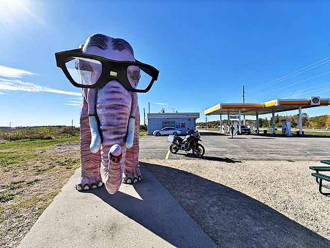 Pinkie's profile shot could grace any magazine cover, if magazines regularly featured stylish elephants as their subjects, which they should.