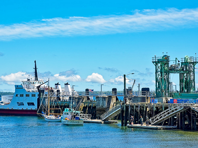 Islesboro Ferry: Your chariot to island adventures, where the journey across Penobscot Bay is half the fun and seal sightings come standard.