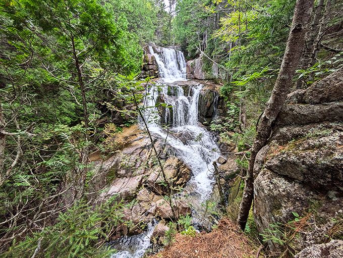 Katahdin Stream Falls tumbles through a green cathedral of pines. Water's been practicing this routine for thousands of years &ndash; no wonder the performance is flawless.