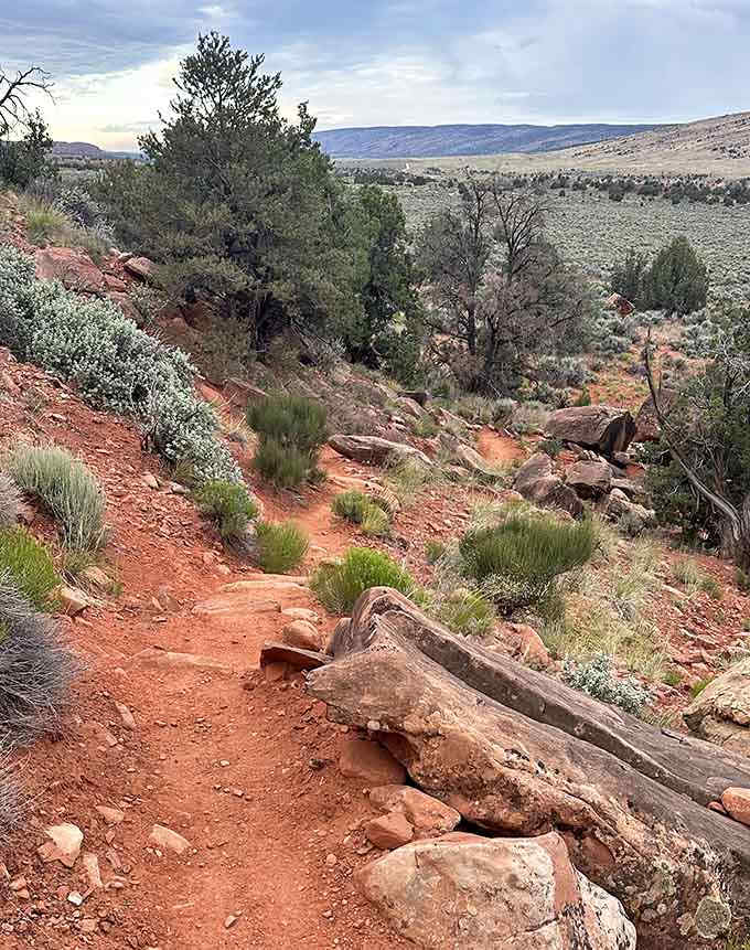 The trail beckons with wooden railings that gently suggest staying on path without being too bossy about it.