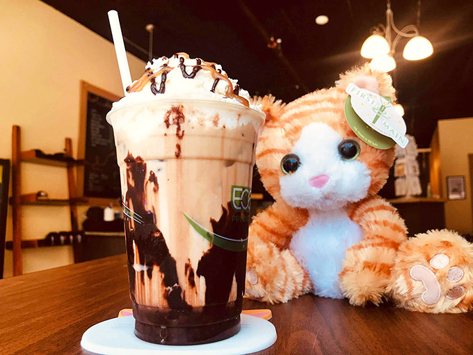 A plush kitty companion keeps watch over this decadent mocha &ndash; the perfect pairing for sweet sipping.