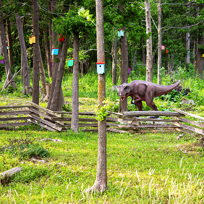 When dinosaurs and birdhouses collide &ndash; this surreal forest habitat proves Vermont's creativity knows no bounds or time periods.