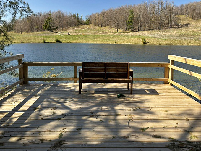 The Offield Family Nature Preserve offers a perfect resting spot where Lake Michigan's sapphire waters complement the surrounding forest greens.