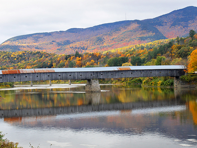 Autumn transforms the Cornish-Windsor Bridge into the centerpiece of nature's most vibrant seasonal display.