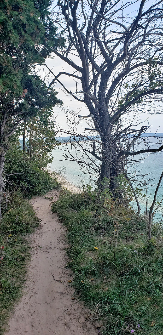 Winding trails reveal glimpses of blue through the trees, teasing hikers with previews of the grand finale ahead.
