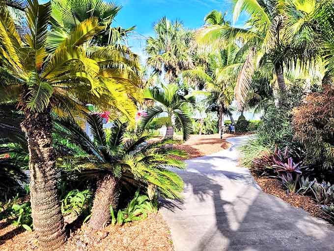 Palm trees frame the tranquil bay view, where benches invite visitors to pause and absorb Florida's natural splendor.