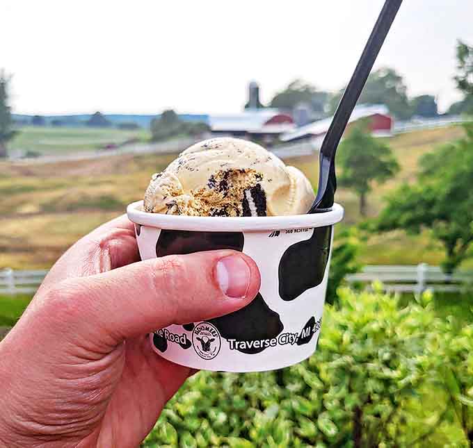 Peanut butter and Oreo join forces in frozen form, creating what scientists would call "the perfect flavor" if scientists studied important things.