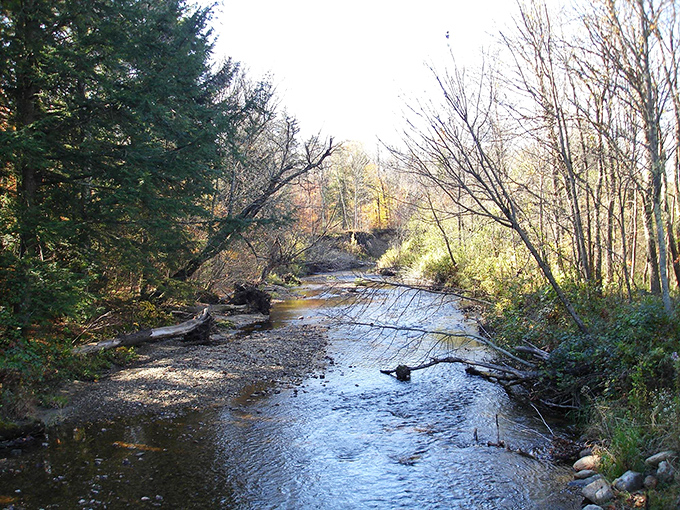 Babbling brooks carve gentle paths through Ripton's wilderness, their soothing soundtrack accompanying hikers on journeys of both foot and mind.