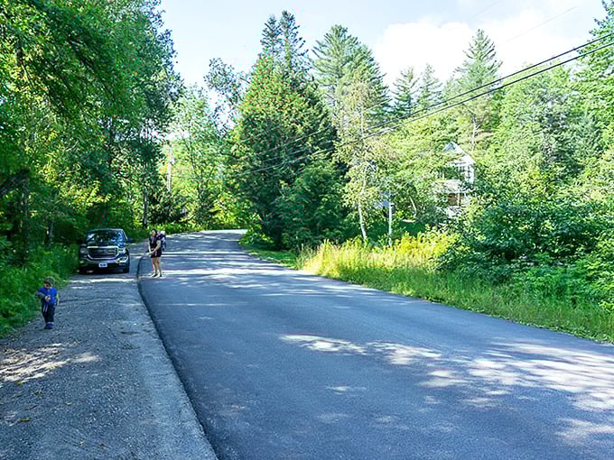 Vermont's hidden oasis: where the road ends and adventure begins, just a short walk from civilization but worlds away in spirit.
