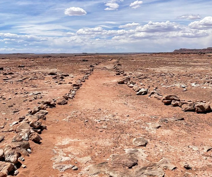The marked pathway through the track site helps visitors navigate this natural museum of paleontological treasures.
