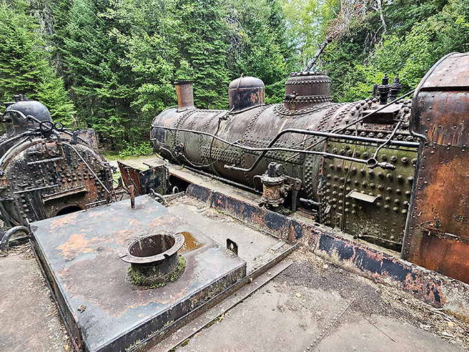 Up close with industrial archaeology &ndash; every rivet and boiler plate tells a story of American ingenuity and wilderness conquest.