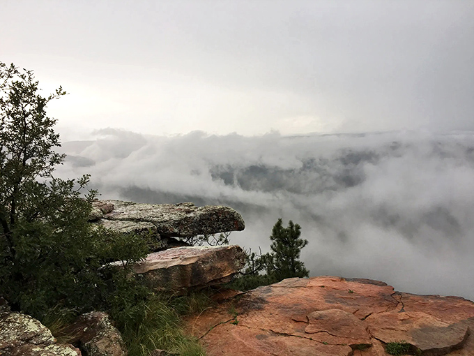 Morning mist clings to ancient rocks, transforming the rim into a mystical landscape that feels worlds away from desert expectations.