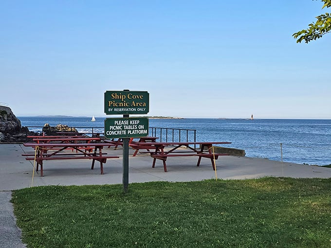 Ship Cove's picnic area offers front-row seats to nature's greatest show – the Atlantic in all its moody glory.