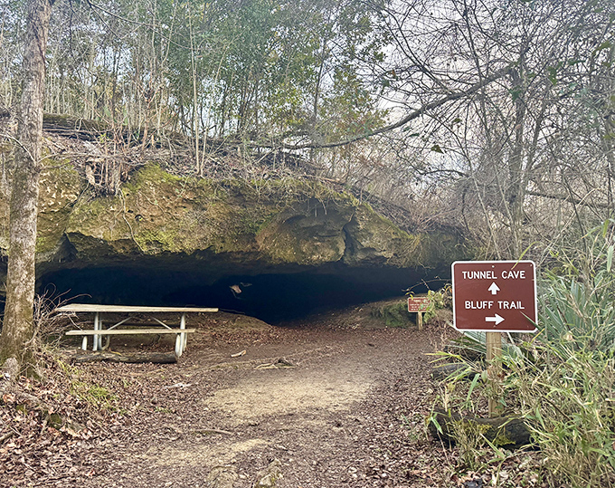 How cool is this? Follow the Bluff Trail right into the amazing mouth of the famous Tunnel Cave!