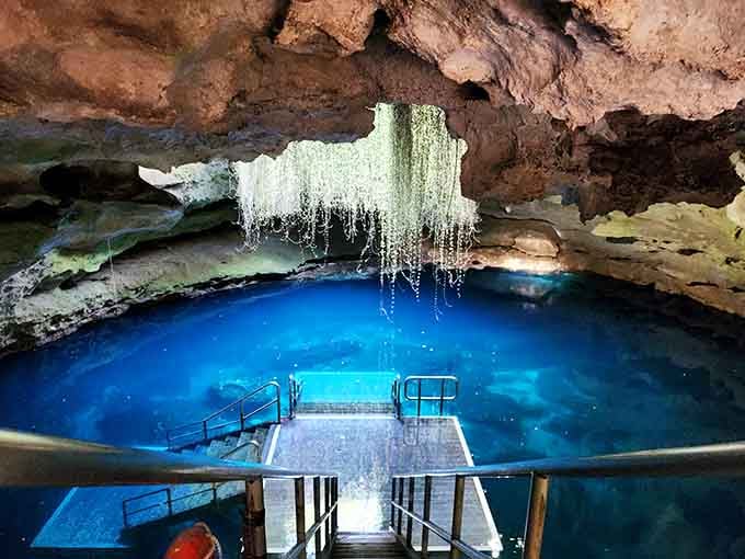 That's not a special effect, that's actual spring water so clear you can count the rocks on the bottom and question your life choices from above.