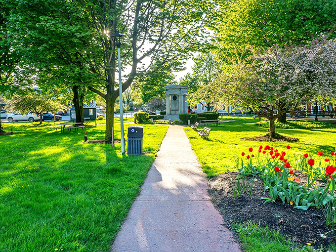 Vergennes City Park provides a peaceful green oasis, where tulips stand at attention like tiny soldiers in springtime formation.