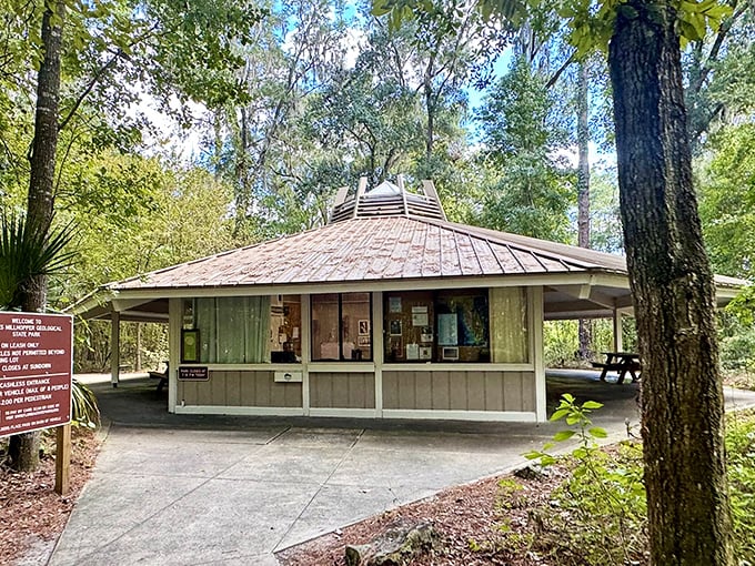 The charming visitor center stands like a woodland pavilion, its hexagonal design harmonizing perfectly with the natural surroundings.