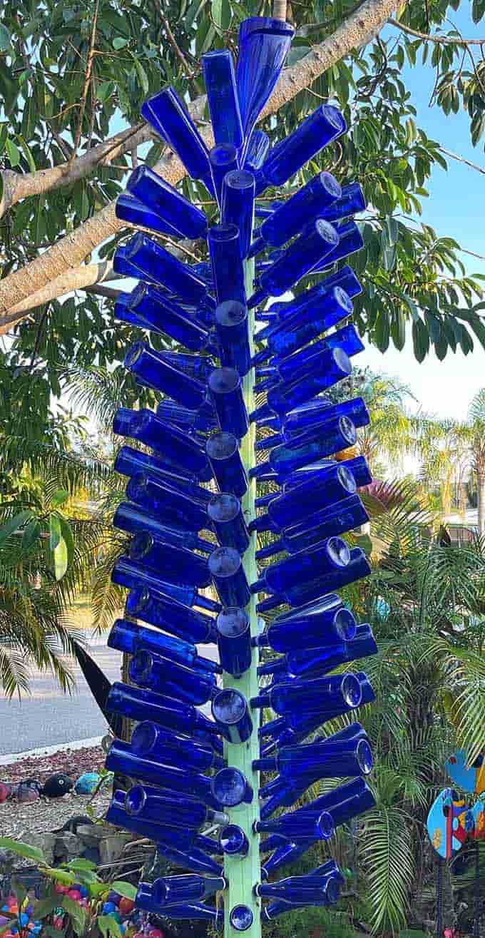 Blue bottle trees reach skyward like something from a Dr. Seuss book that got wonderfully lost in Florida's backyard.