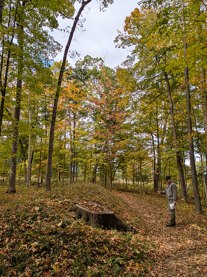 Winding paths beckon explorers deeper into the woodland sanctuary. Each turn reveals another chapter in Wisconsin's ancient story, written in earth and preserved in silence.