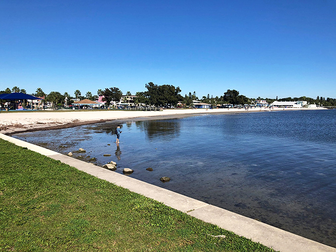 Gentle waves lap against the shoreline of this hidden gem, where pelicans dive for dinner and locals gather to witness nature's daily performance.