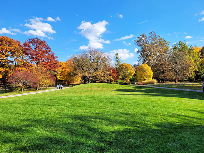 Nature's living room, where the grass is always greener and the sky seems just a little bit bluer.