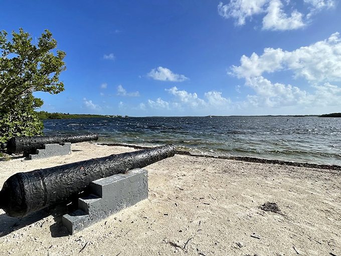 History meets paradise where this weathered cannon rests, a silent storyteller from Florida's colorful maritime past.