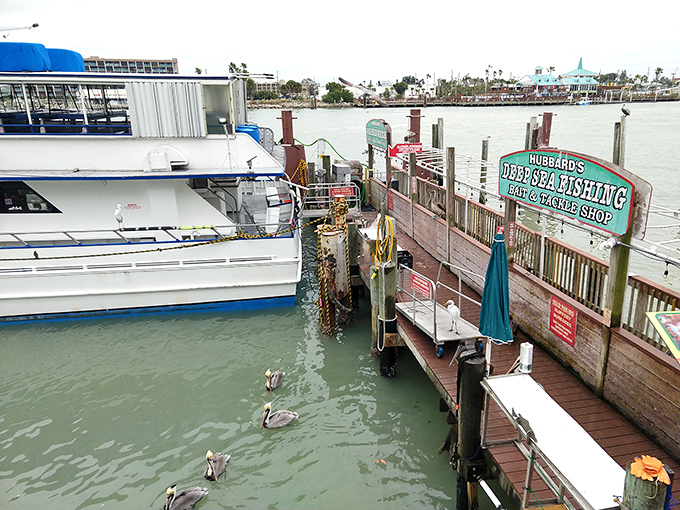Weathered docks tell stories of countless fishing trips, sunset cruises, and the one that didn't get away (according to every fisherman ever).