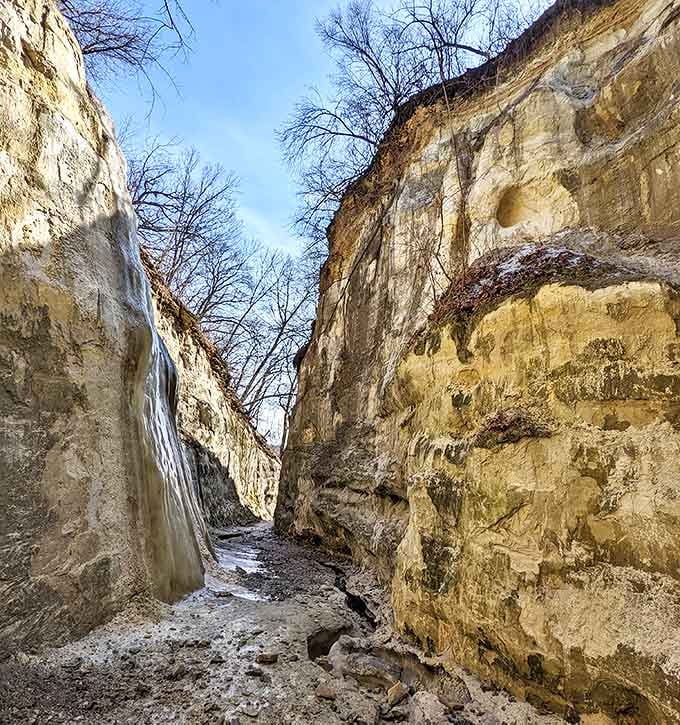 Squeeze through nature's hallways where the canyon narrows to just arm's width, creating an intimate geological experience.