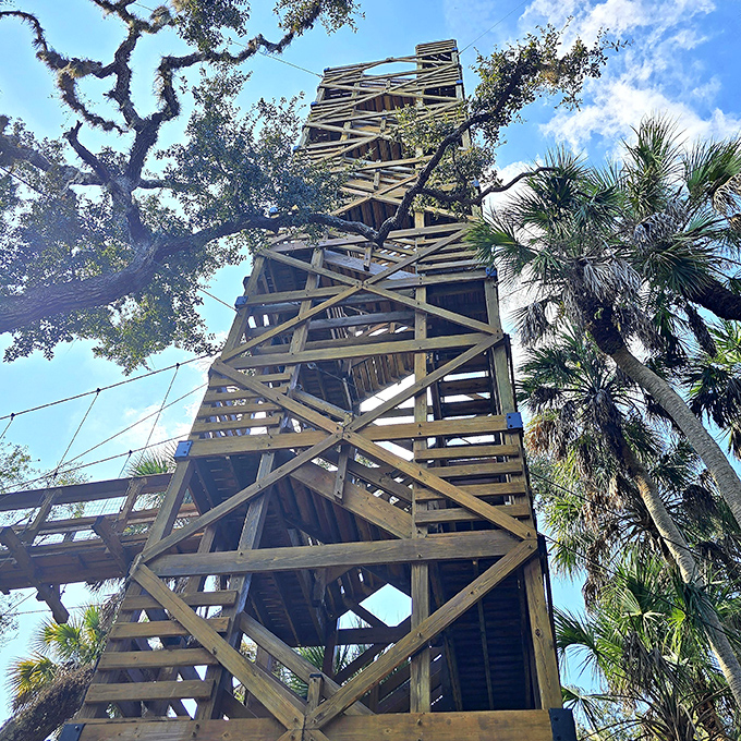 The observation tower rises like a wooden lighthouse in a sea of green, promising views that make the climb worth every step.